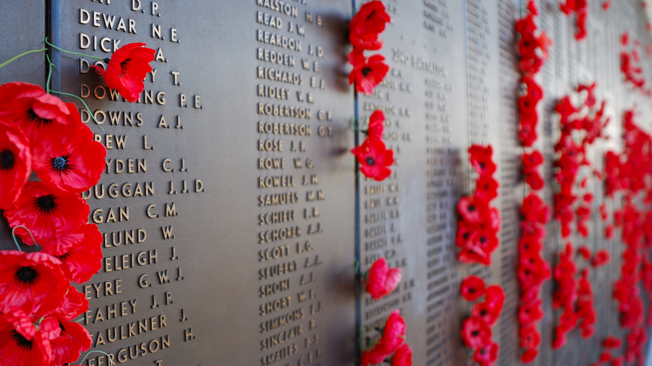 ANZAC Day and Poppies: A Symbol of Remembrance - Anzac Day Tours